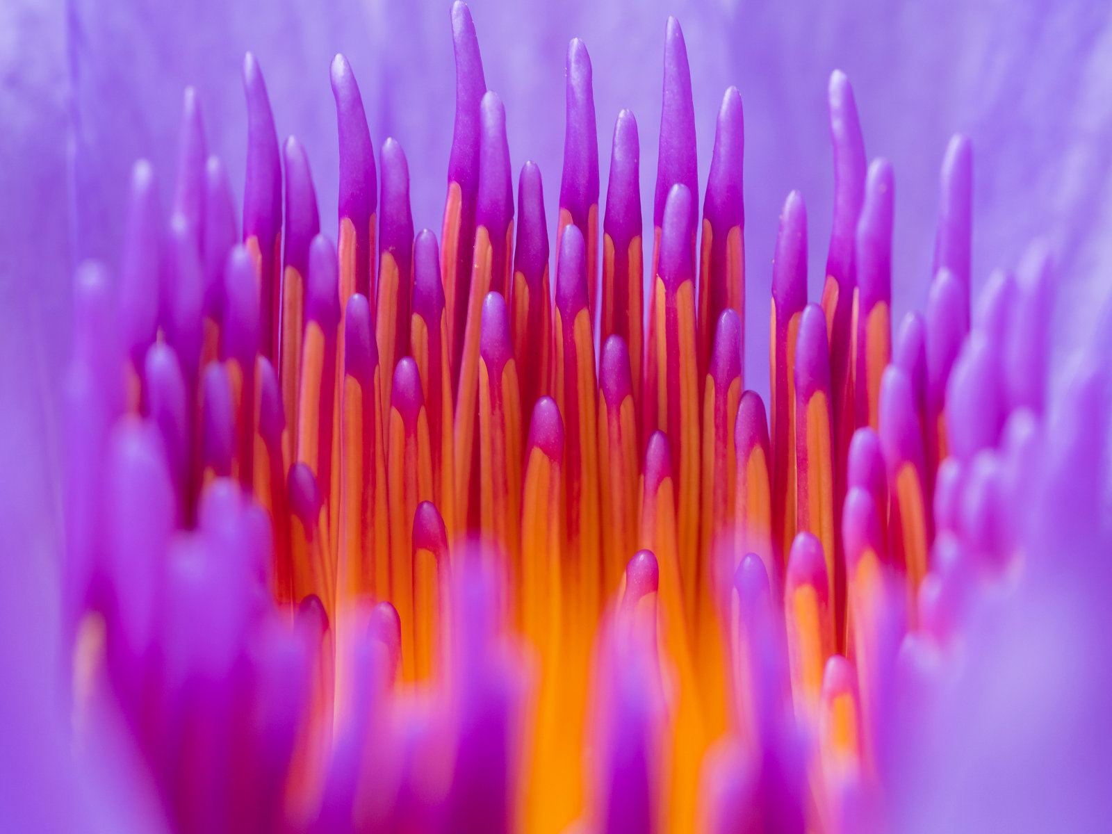 pgVis - Simple Visualisations For PostgreSQL - Chris Ellis (Intrbiz)'s Blog pgVis - Simple Visualisations For PostgreSQL - Chris Ellis (Intrbiz)'s Blog